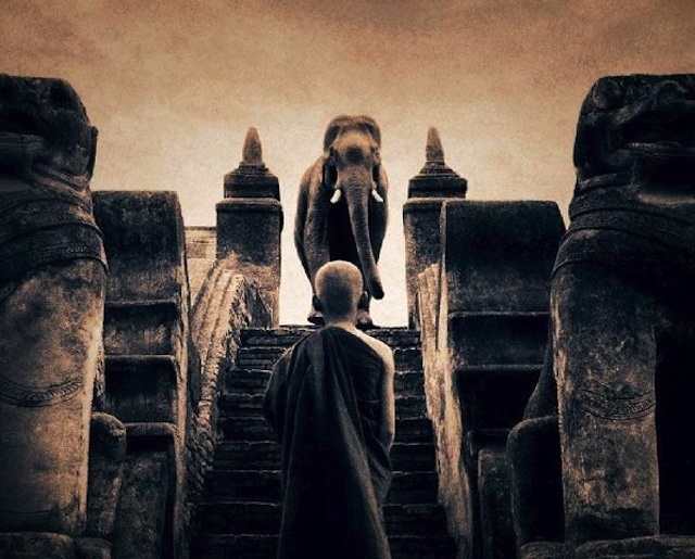 Gregory Colbert Photography - Ashes and Snow (24 Pictures) - Seite 3 von 3